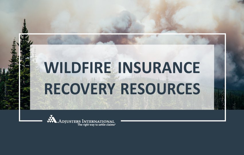 What To Do After a Fire Disaster – Wildfire Resources
